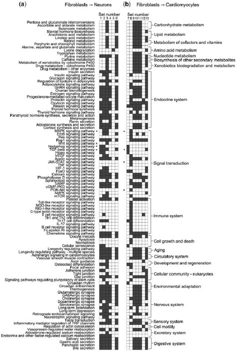 Target Pathways Identified Using Known Combinations Of Compounds A