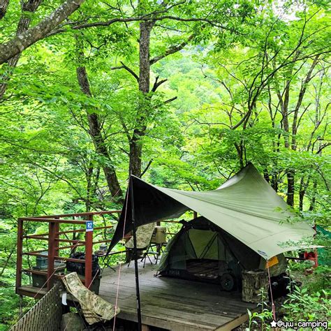 캠피플 🌲타잔놀이 가능한 한국의 라오스 계곡 캠핑장🌲 세상 맑고 투명한 계곡 가운데에 매달려있는