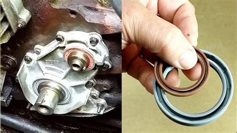 Oil Seals Installation YouTube