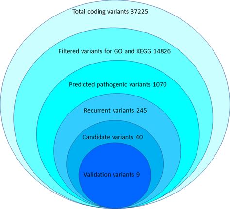 The Selection Process For Wes Data It Contains 37225 Total Coding Download Scientific Diagram