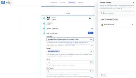 How To Write Ai Product Descriptions With Open Ai On Shopify Mesa Blog