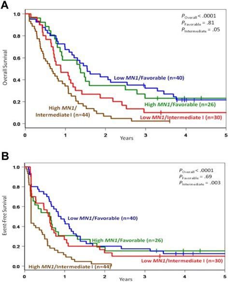 Outcome Of Cn Aml Patients 60 Years Of Age Or Older With Respect To Mn1