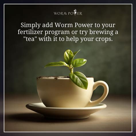 Worm Power On Linkedin Wormpower Growers