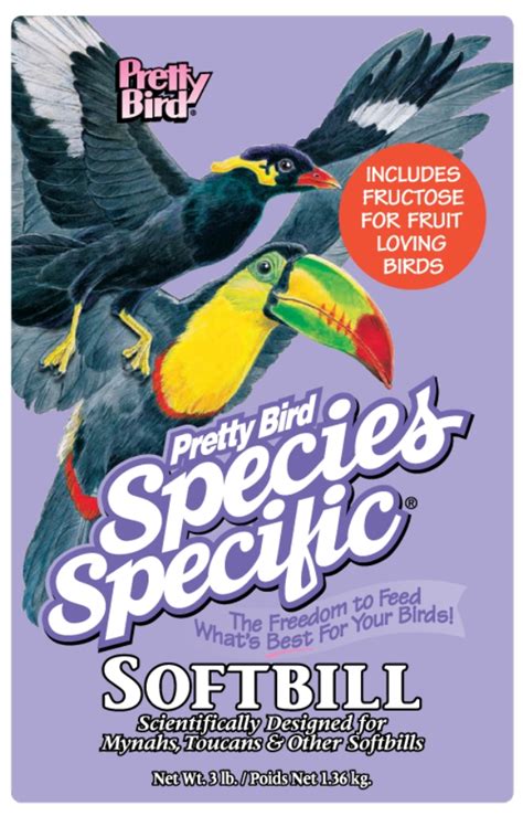 Species Specific Pretty Bird