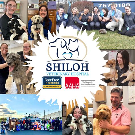 Shiloh Veterinary Hospital Shiloh Veterinary Hospital