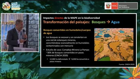 COP16 Expertos piden frenar minería ilegal en Amazonía