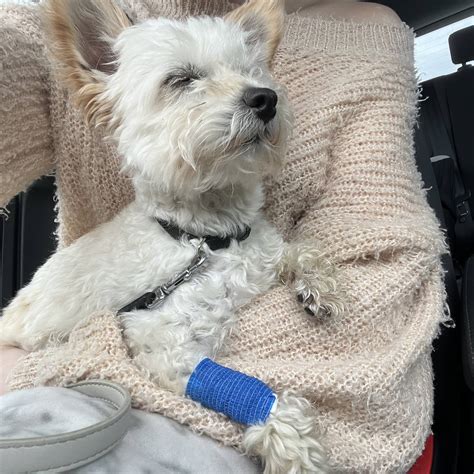 Post From Mathilda Hogberg