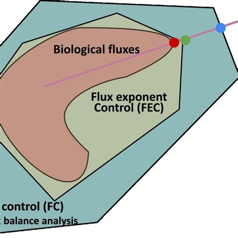 Illustration Of Constraint Based Methods The Arrow Represents The