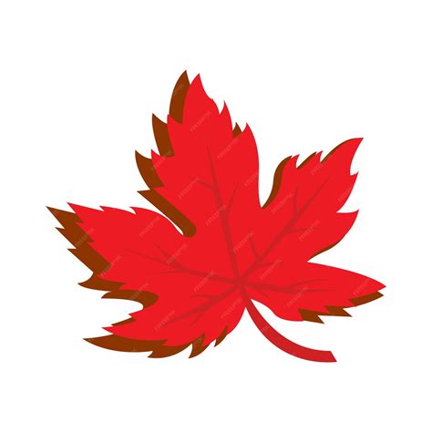 Premium Vector Icon Of A Maple Leaf Raster Illustration Background Logo