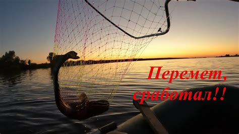 Перемет сработал!! Ночую один на острове. рыбалка на перемет, кольцо ...