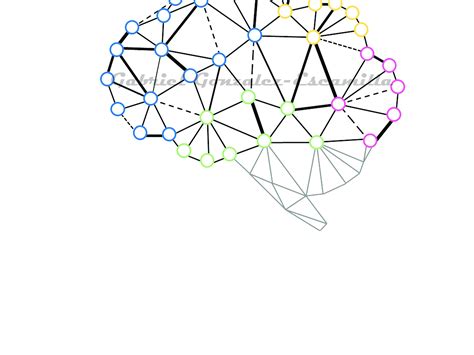 Brain Networks And Connectivity Multimodal Neuroimaging Analysis