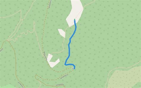 Sex Therapy Walking And Running Trail Lazio Pacer