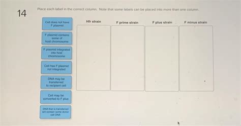 Solved Place Each Label In The Correct Column Note That
