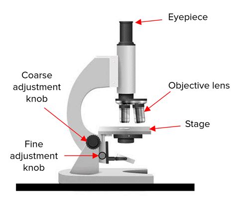 Label Microscope Diagram