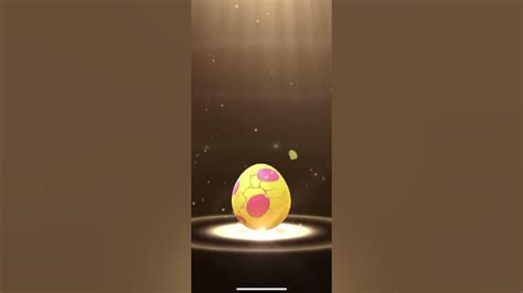 【ポケモンgo】7kmタマゴ9連【ハロウィンイベント】9 Youtube