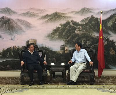 洪小勇大使会见国家工业和信息化部副部长陈肇雄一行