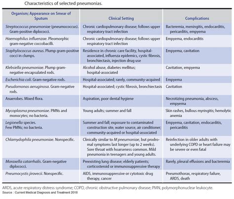 Klebsiella Pneumoniae Gram Stain Morphology
