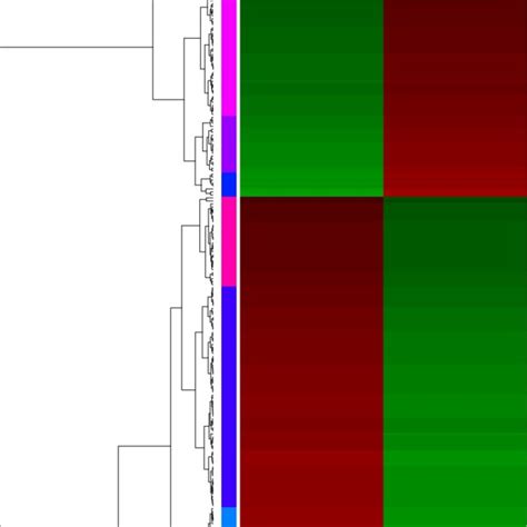Cluster Analysis Of Degs A Cluster Analysis Of Degs Between Wild Type