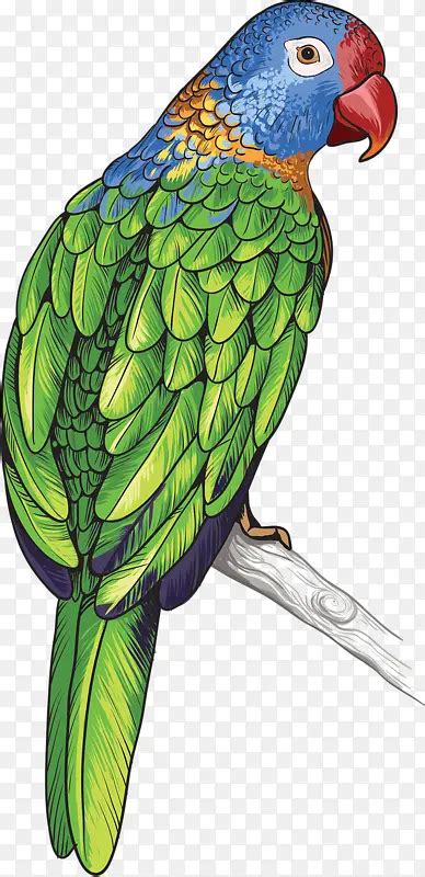 Png Png