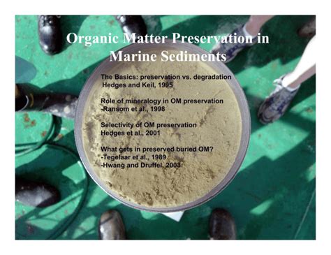 Organic Matter Preservation In Marine Sediments