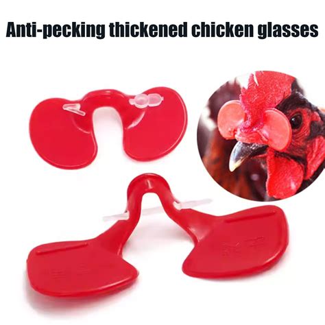 Chicken Eyes Glasses