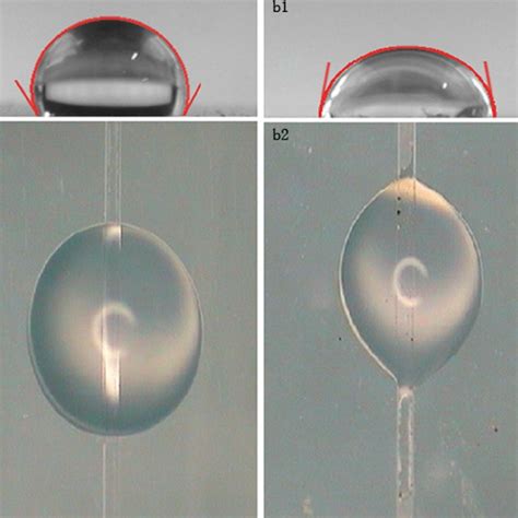 The Water Contact Angle On A1 Native Pdms And B1 Psnspss Coated