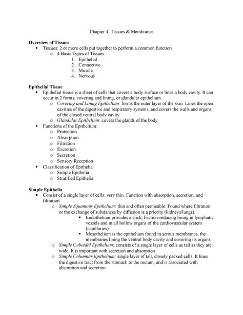 Chapter 4chapter 4 Tissues And Membranes Chapter 4 Tissues Membranes Overview Of Tissues