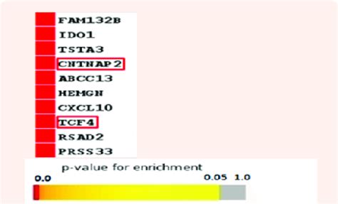 Heatmap Of Selected Downregulated Driver Genes Driver Gene Analysis