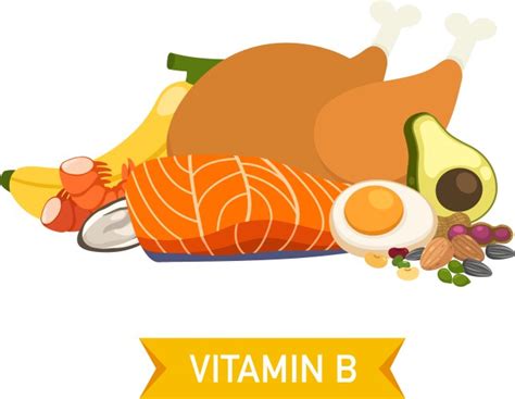 Junk Food Group Royalty Free Vector Image Vectorstock