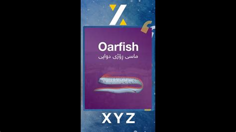 ماسی ڕۆژی دوای Youtube