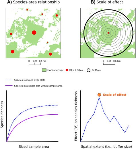 Most Common Spatial Scaling Of Biodiversity Aspeciesarea