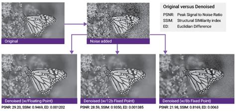 Implementing Vision With Deep Learning In Resource Constrained Designs