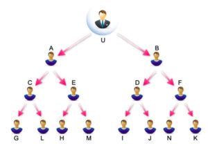 Binary MLM Plan Software Development A Complete Guide