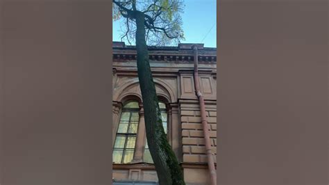 Это одно из лучших произведений знаменитого архитектора Петербурга Youtube