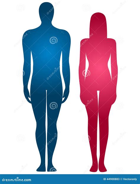 Siluetta Del Corpo Umano Illustrazione Vettoriale Illustrazione Di