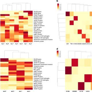 Different Groups Of GBM Cells Can Be Defined Based On Invasiveness Download Scientific Diagram