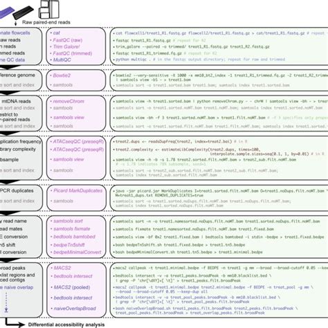 Generalized Atac Seq Data Processing Workflow Intended For Comparative