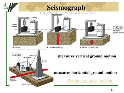 What Does Seismograph Measures At Nancy Guzman Blog