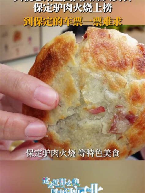 保定火炎焱燚！央视总结全国四大爆火美食，保定驴肉火烧上榜新浪新闻