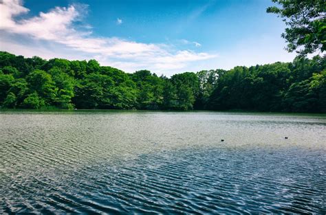 空と木々と池 By 次元 （id：6782425） 写真共有サイトphotohito