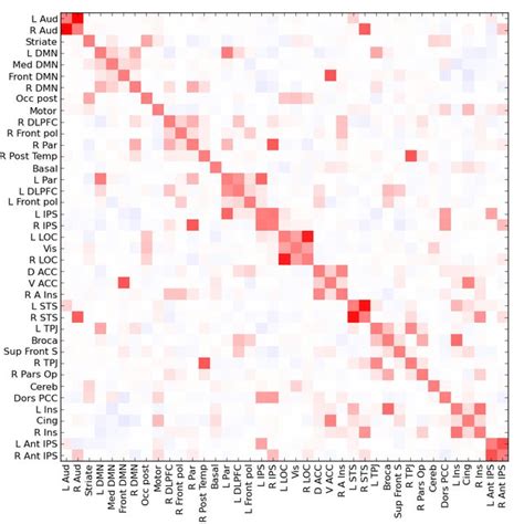 Inverse Correlation Model Giving A Descriptor Of Reference Brain