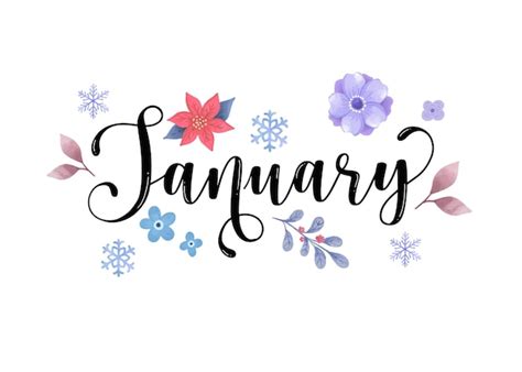 Handgezeichnete Januar Monats Schriftzug Typografie für Cover Poster Banner Flyer Social Media