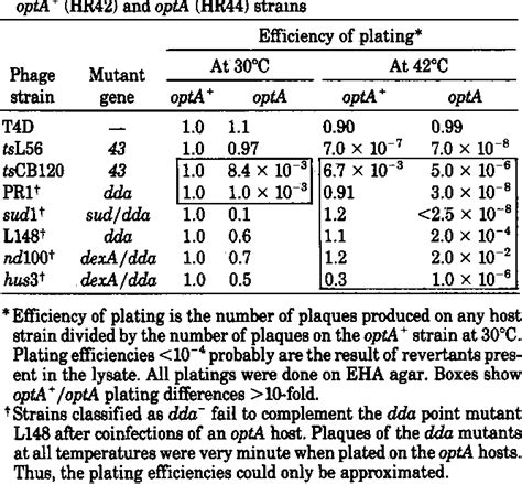 Table 1 From Bacterial And Phage Mutations That Reveal Helix Unwinding Activities Required For