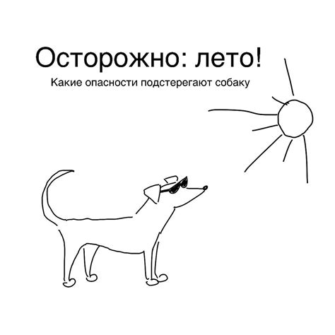 Муниципальный приют для животных г Радужный Официальная группа