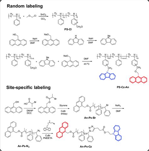 Scheme 1 Synthetic Routes Of Polystyrene Ps Labeled With Fluorescent