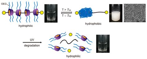 Oegylated Cyclodextrin Based Polyrotaxanes Showing Remarkable