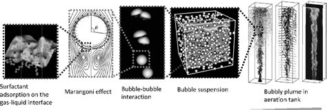 Table 1 From From A Single Bubble To Large Scale Structures In Bubbly Flows Through The