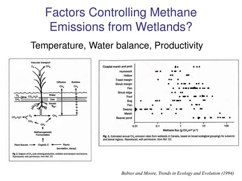 Ppt Atmospheric Methane Powerpoint Presentation Free Download Id