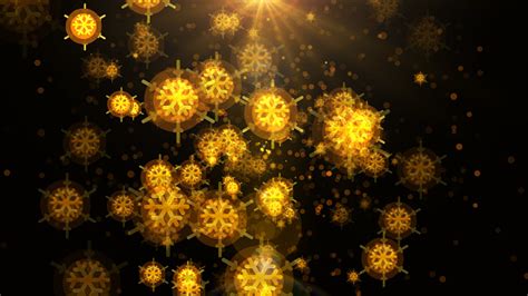 황금빛 눈송이와 반짝이는 별 반짝이 가루 황금 입자 보케가 축하와 럭셔리를 위한 검은색 배경에 반짝이는 효과와 함께 미래적이고 마법 같은 루프를 만듭니다 금색에 대한 스톡