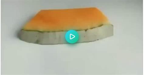 Snail Party Album On Imgur